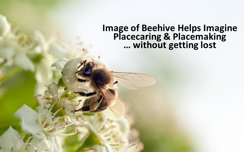 What is Your Role in the Human Hive? – Integral City