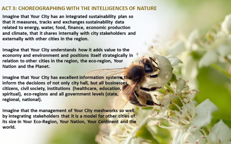 Humanity Rising: Imagine Thriving Human Hives as Gaia’s Reflective ...