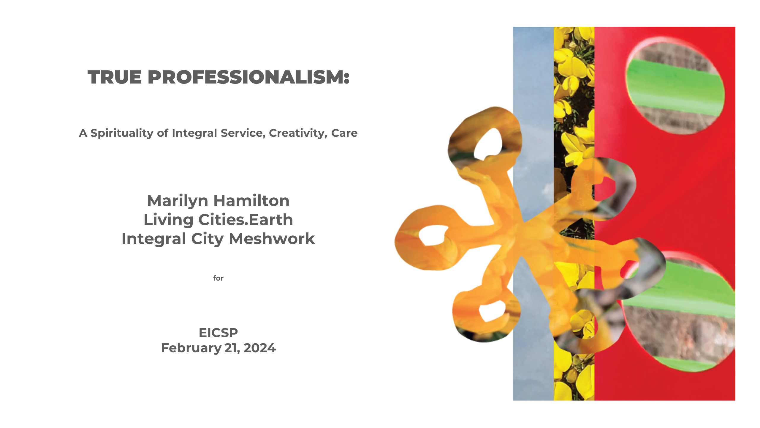 True Professionalism: A Spirituality of Integral Service, Creativity ...